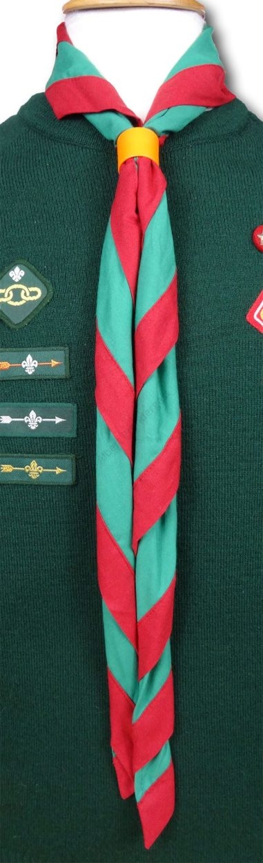 Cub & Scout Necker In Green With Red Border | Albert Prendergast