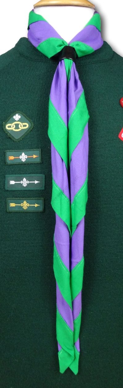 Cub & Scout Necker In Lilac With Green Border | Albert Prendergast