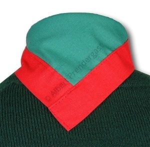 Cub & Scout Necker In Green With Ruby Red Border | Albert Prendergast